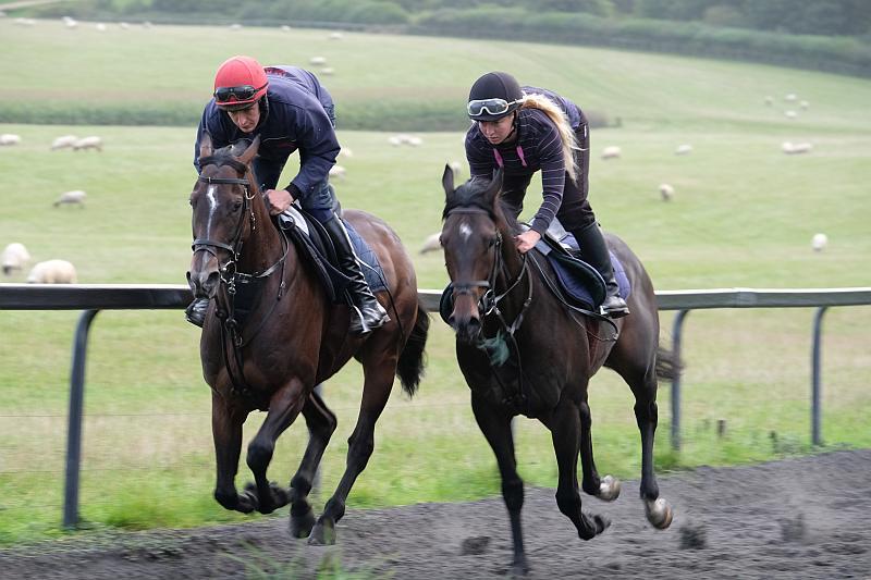 Baileys Blog » Home