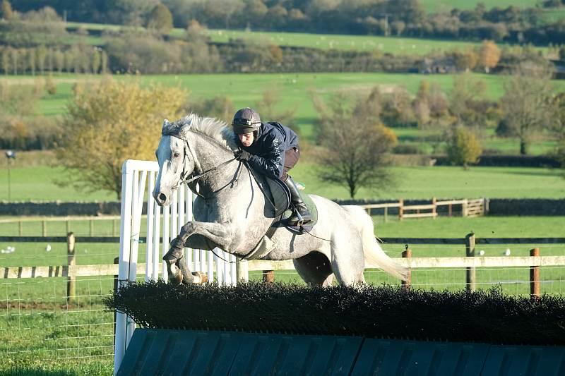 Baileys Blog » Home