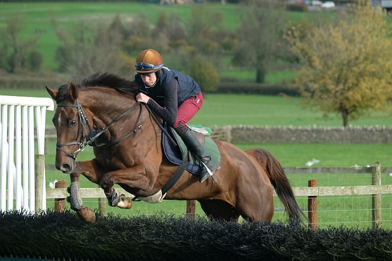 Baileys Blog » Home