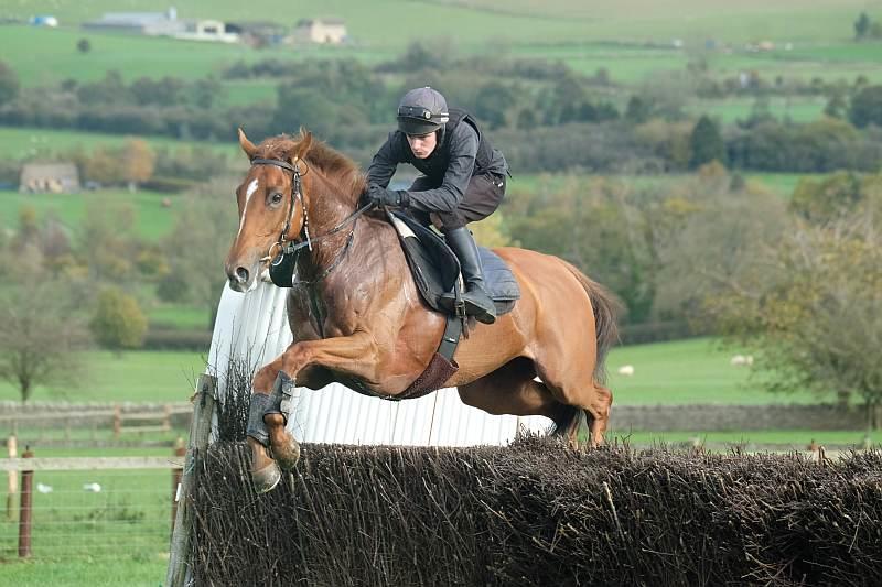 Baileys Blog » Home