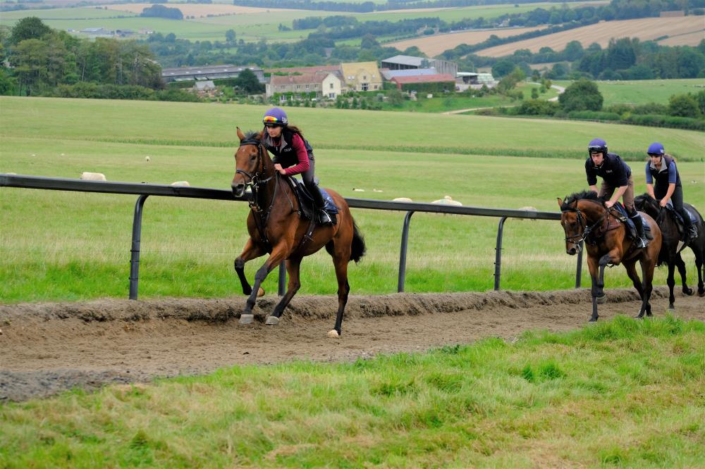 Baileys Blog » Home