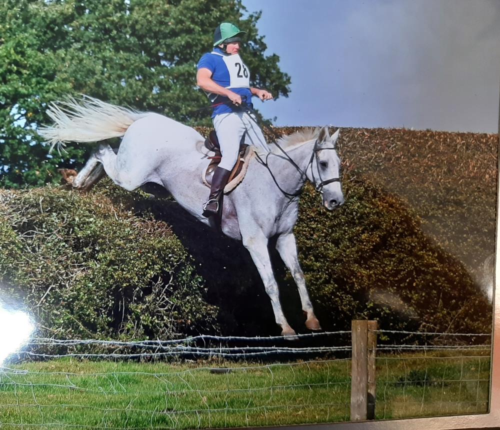 Baileys Blog » Home