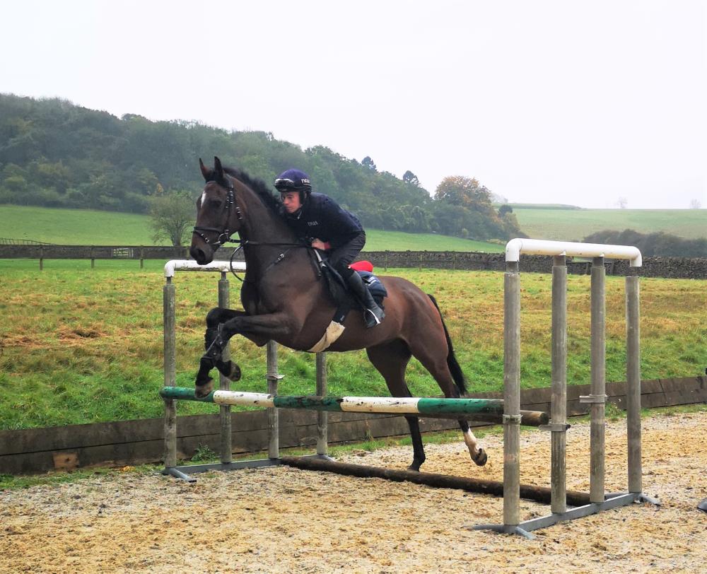 Baileys Blog » Home