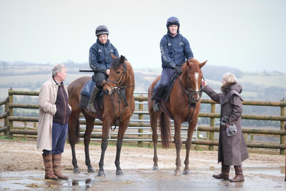 Baileys Blog » Home