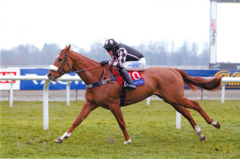 Baileys Blog » Home