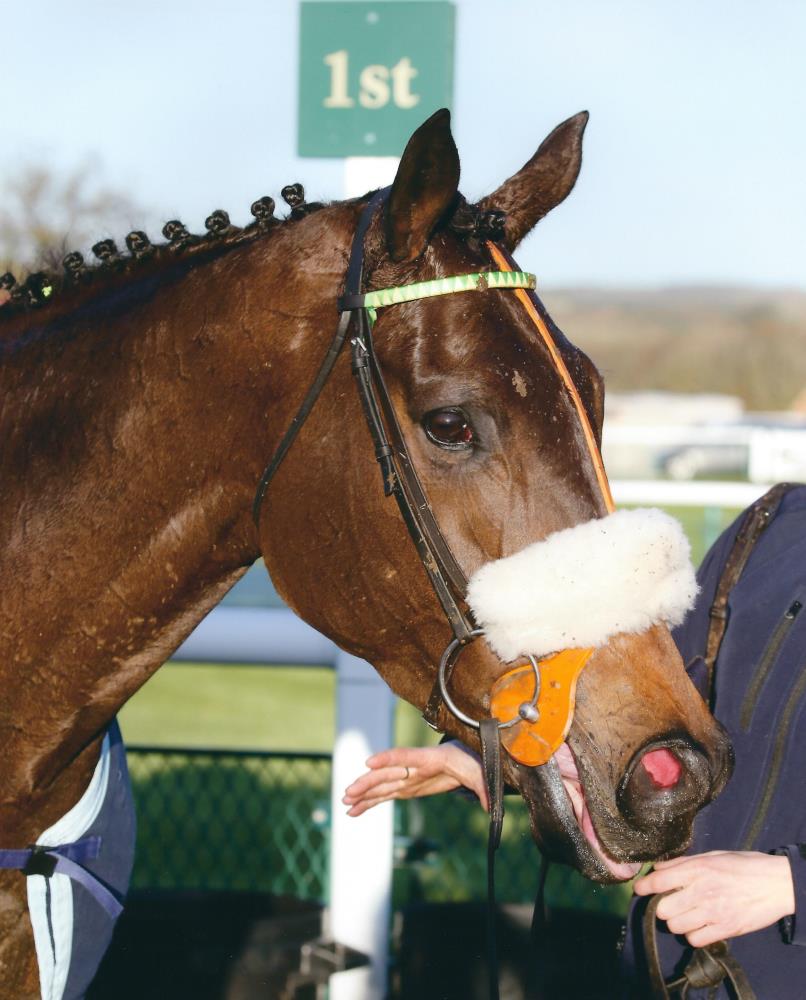 Baileys Blog » Home