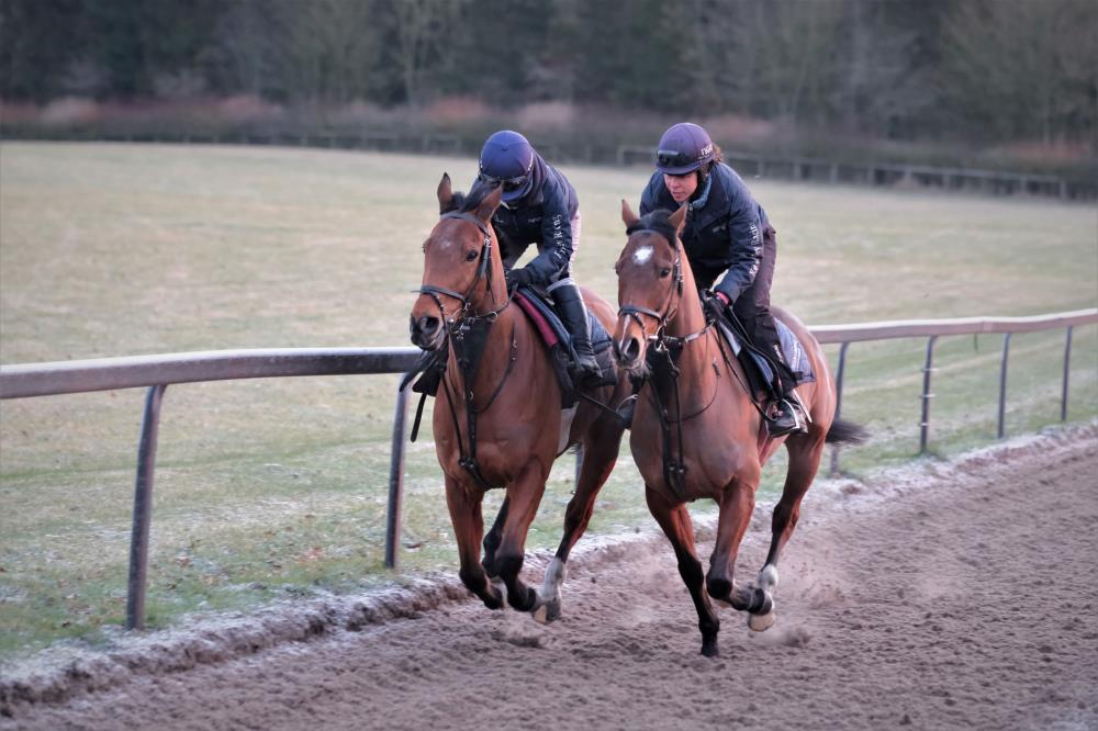 Baileys Blog » Home