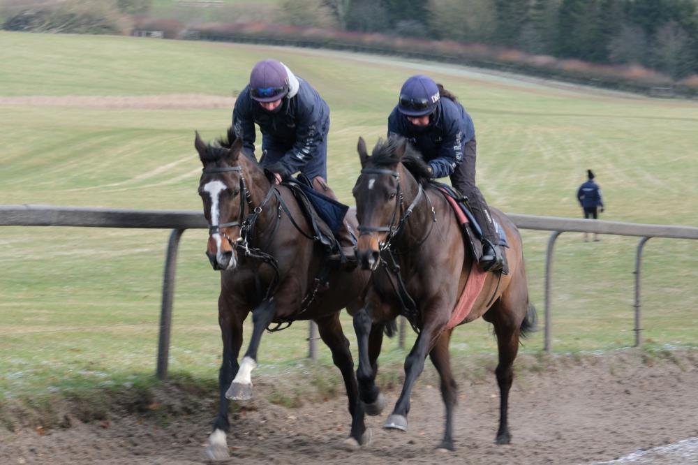 Baileys Blog » Home