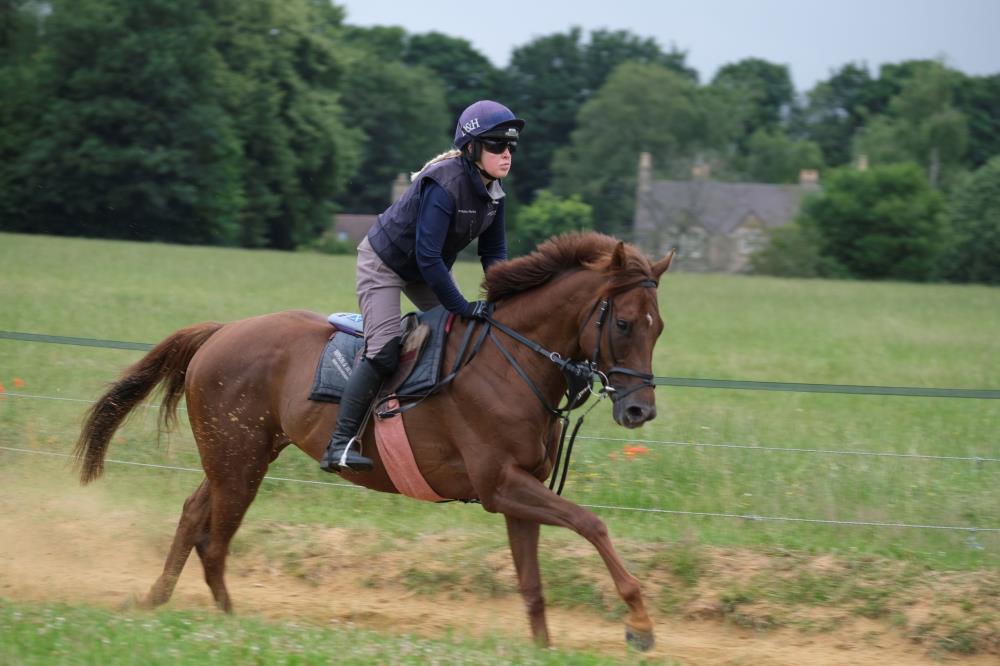 Baileys Blog » Home