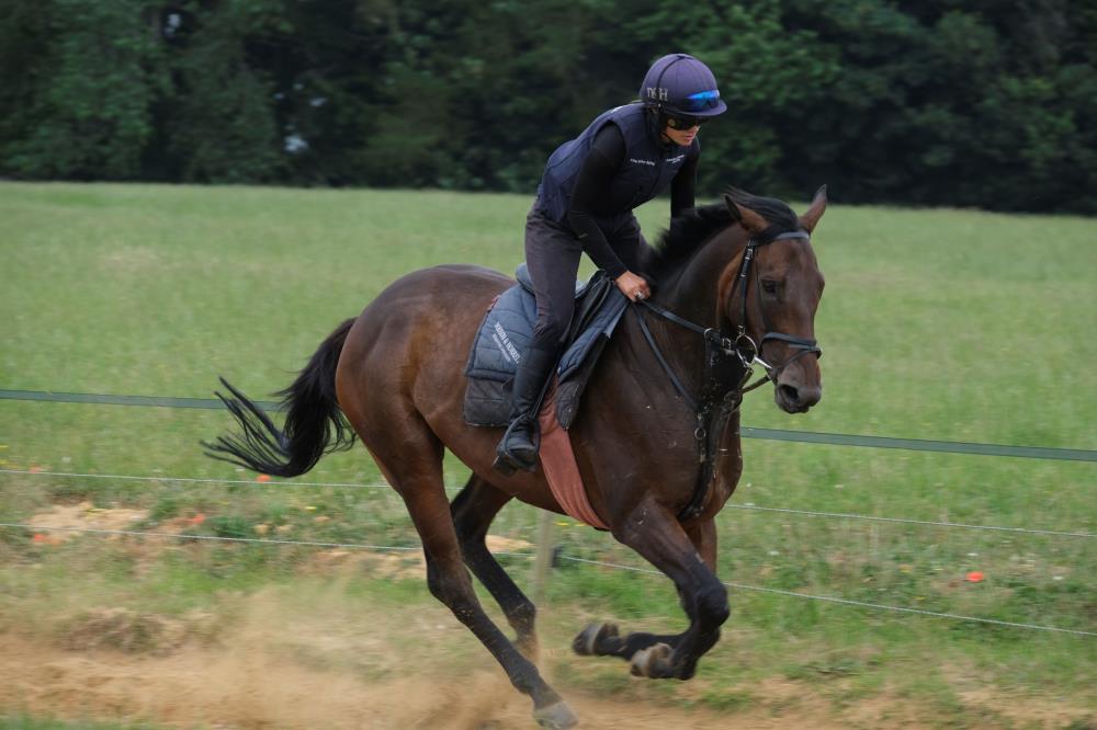 Baileys Blog » Home