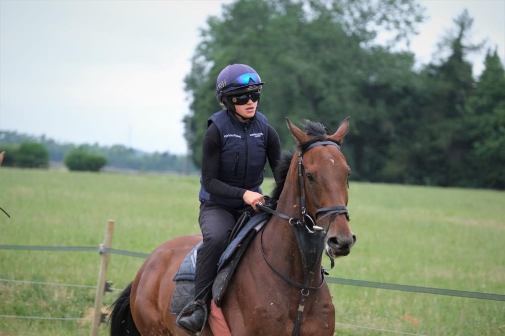 Baileys Blog » Home