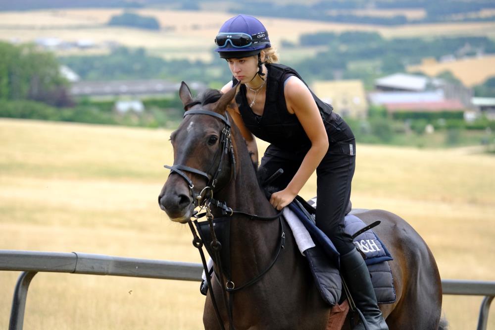 Baileys Blog » Home