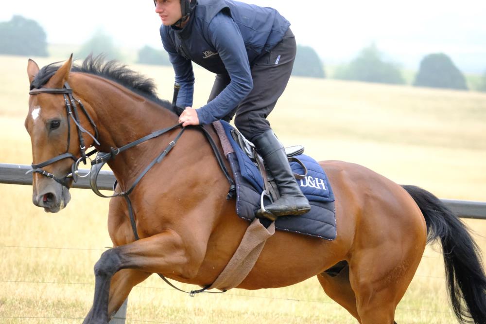 Baileys Blog » Home