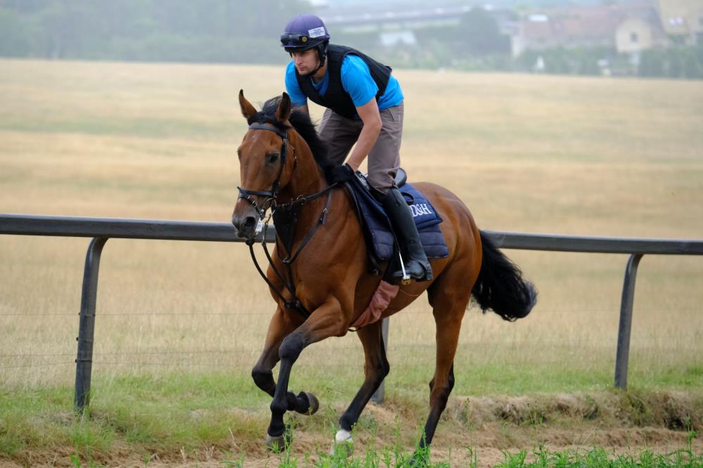 Baileys Blog » Home