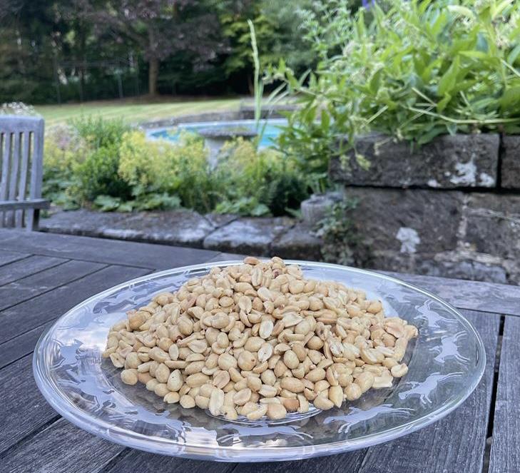 Baileys Blog » Home