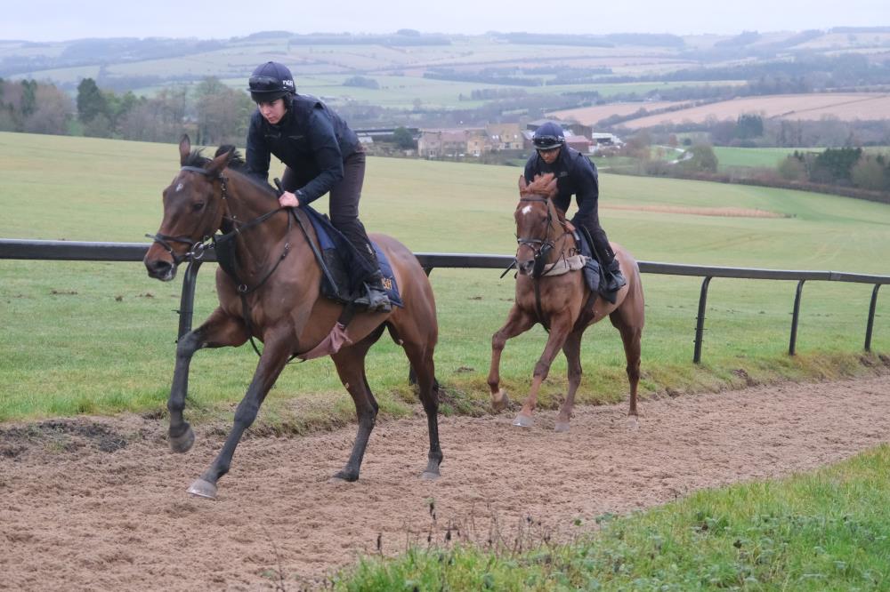 Baileys Blog » Home