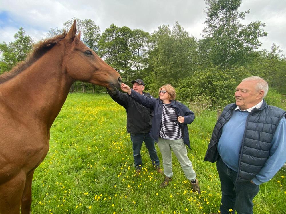 Baileys Blog » Home