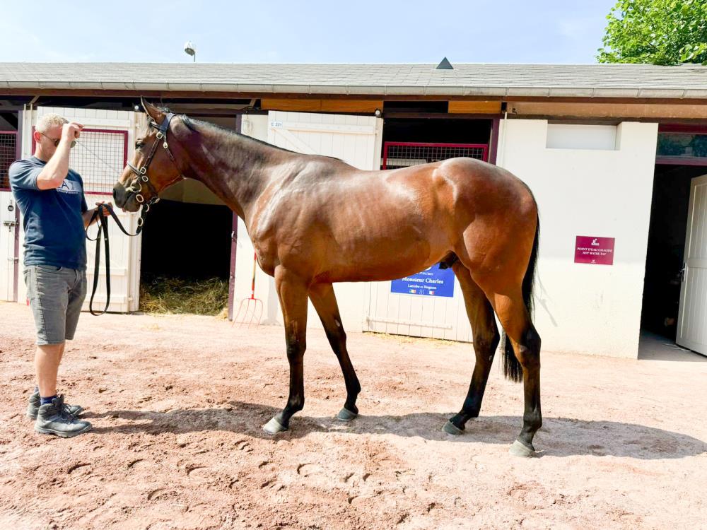 Baileys Blog » Home