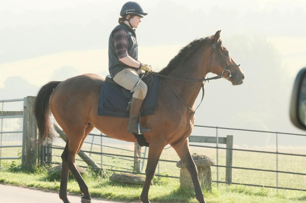 Baileys Blog » Home