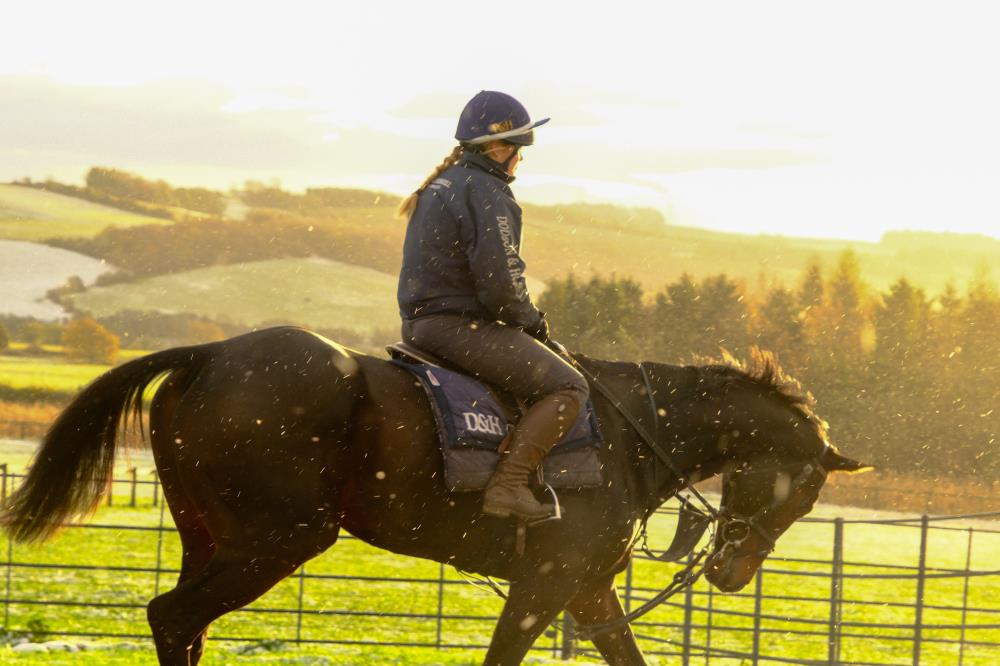 Baileys Blog » Home