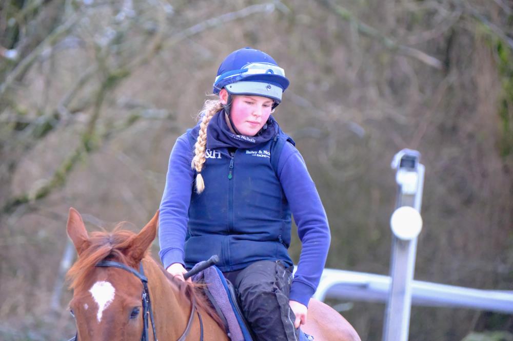 Baileys Blog » Home