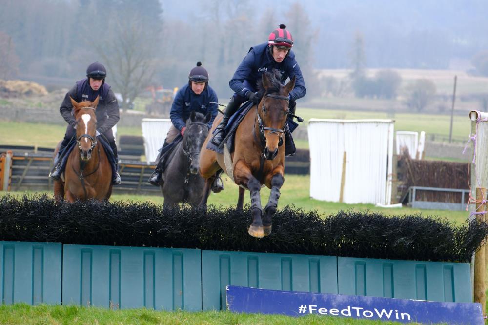 Baileys Blog » Home