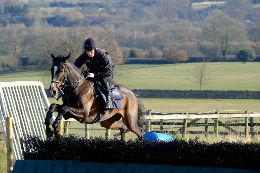 Baileys Blog » Home