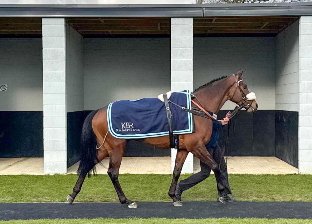 Baileys Blog » Home