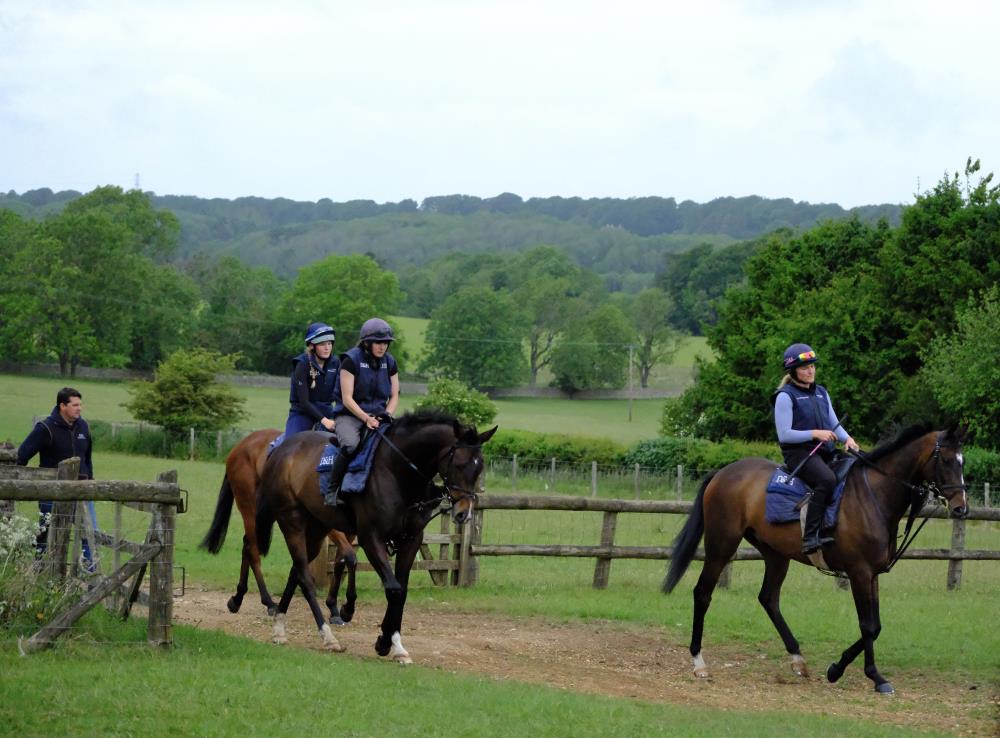 Baileys Blog » Home