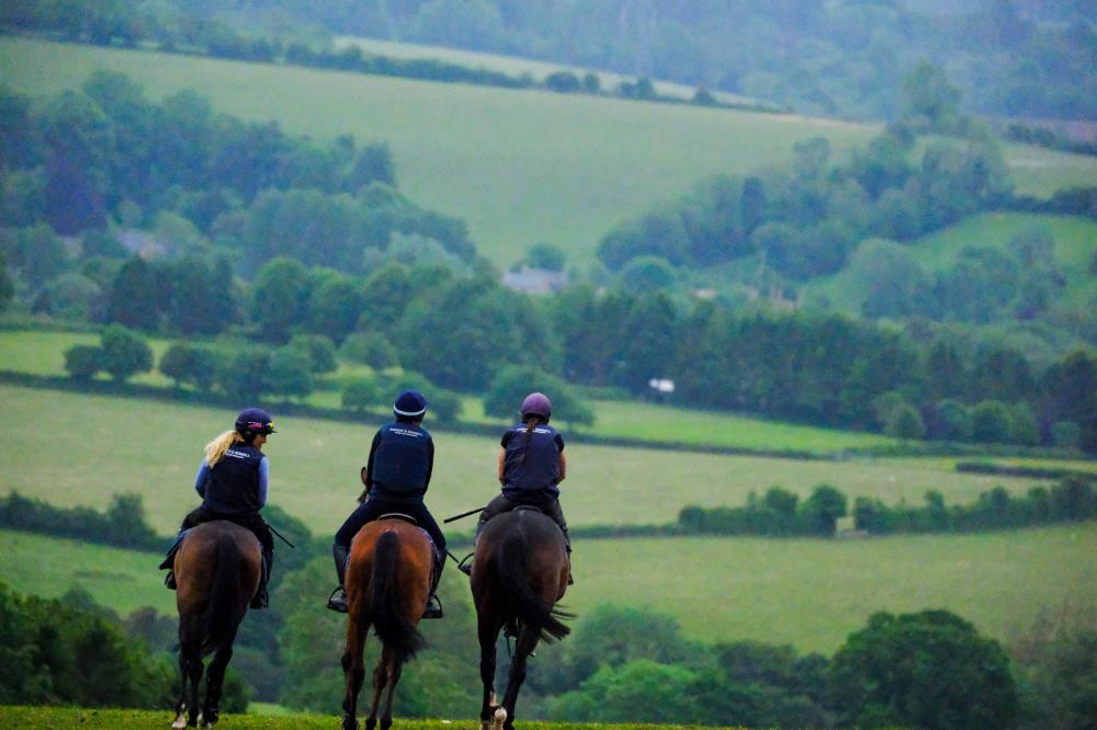 Baileys Blog » Home