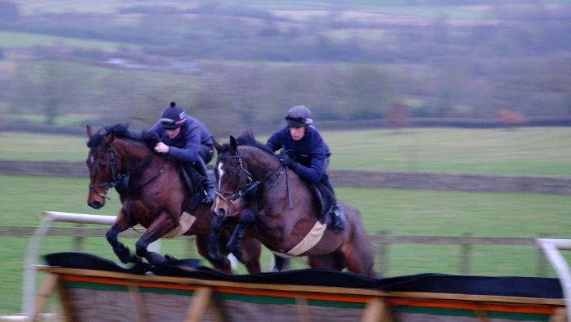 Baileys Blog » Home